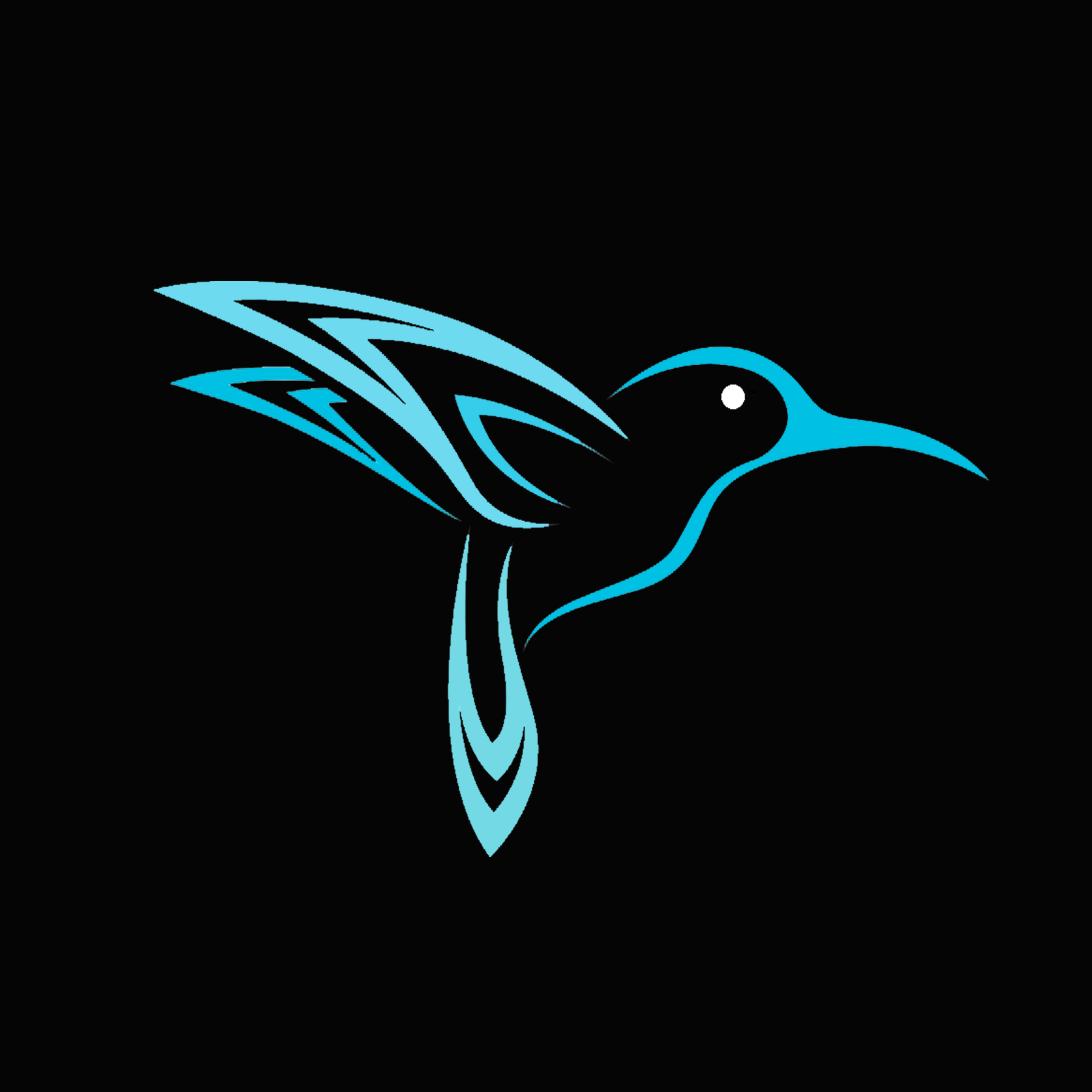 Wedding Photo+Video Studio SF Bay Area, Sarasota, Portland Maine